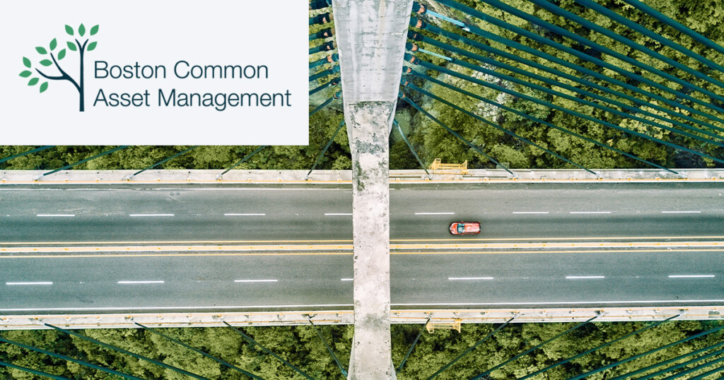 What Critics Get Wrong—and Right—About ESG Investing - AMG Wealth